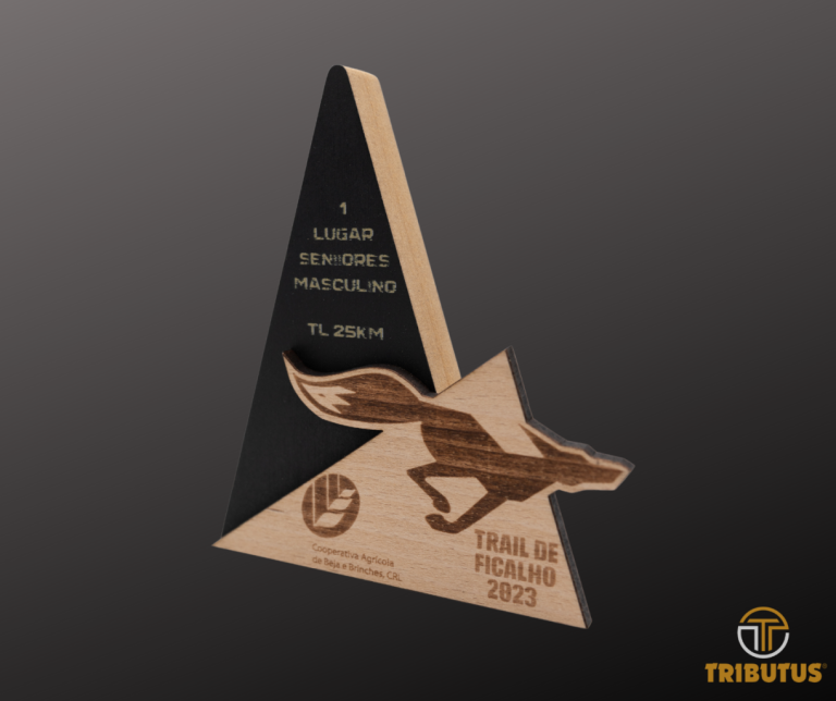 Portfolio - TRIBUTUS