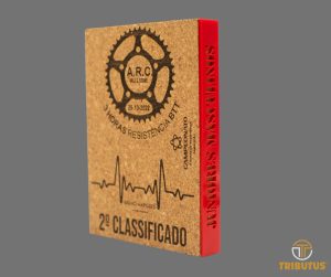 Portfolio - Tributus