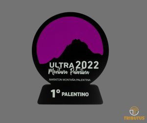 Portfolio - Tributus