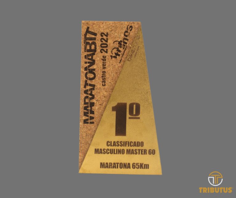 Portfolio - Tributus