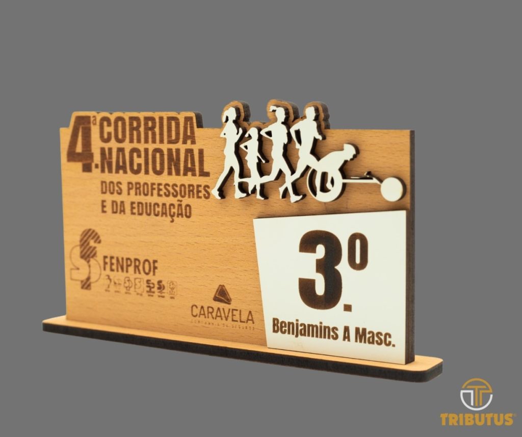 Portfolio - Tributus